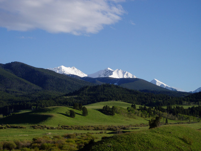 Flying D Ranch - Turner Enterprises