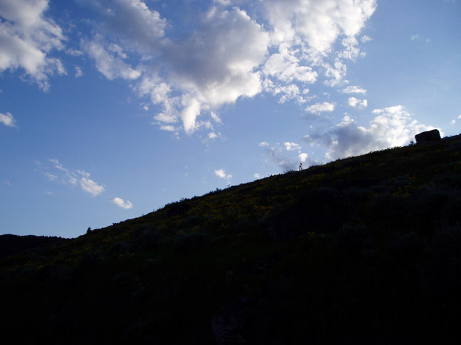 Flying D Ranch - Turner Enterprises