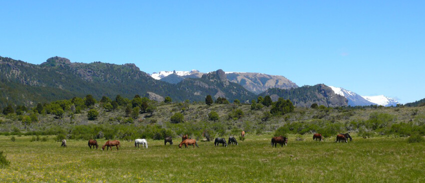 P1020009 - Turner Enterprises